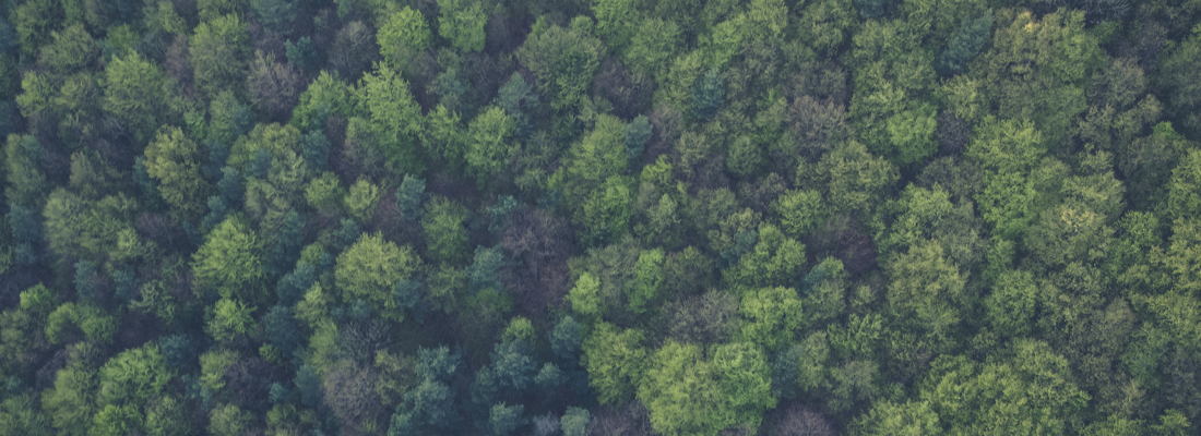 Naviate Landscape 2022.1 Release｜naviate.com