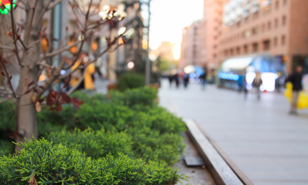 What's new in Naviate Landscape｜naviate.com