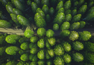 Naviate release news｜naviate.com