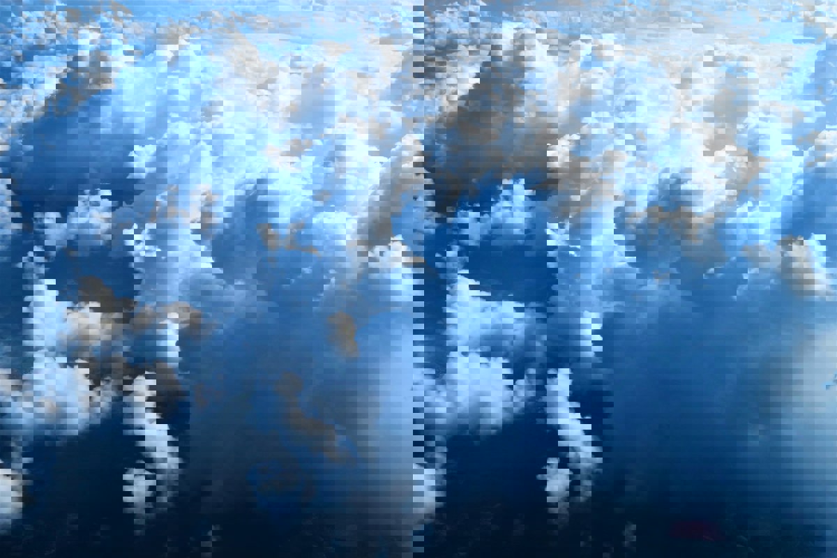 Naviate Cloud｜naviate.com