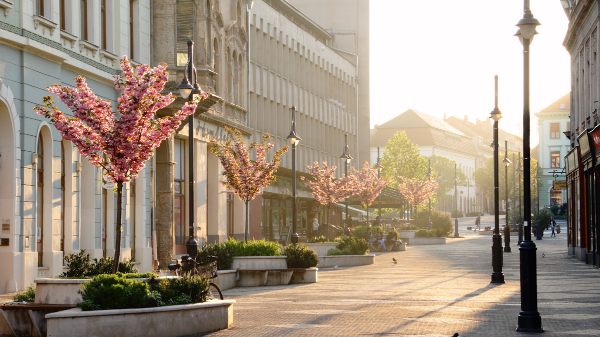 Naviate Site & Landscaping June Release 2024.5.1