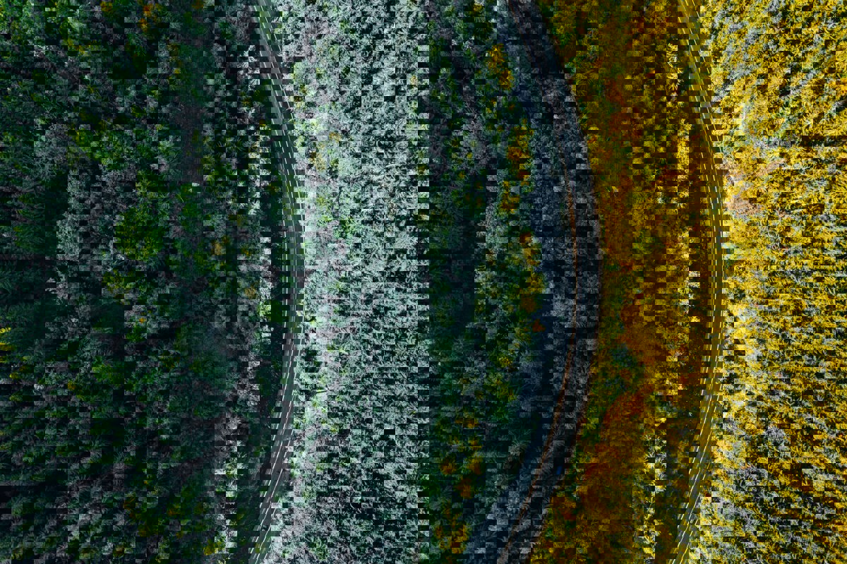 Naviate Landscape 2024.1 release｜naviate.com